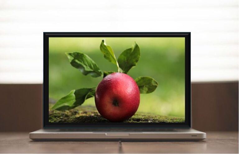 Then and now: comparing apples with Apple - Align Financial